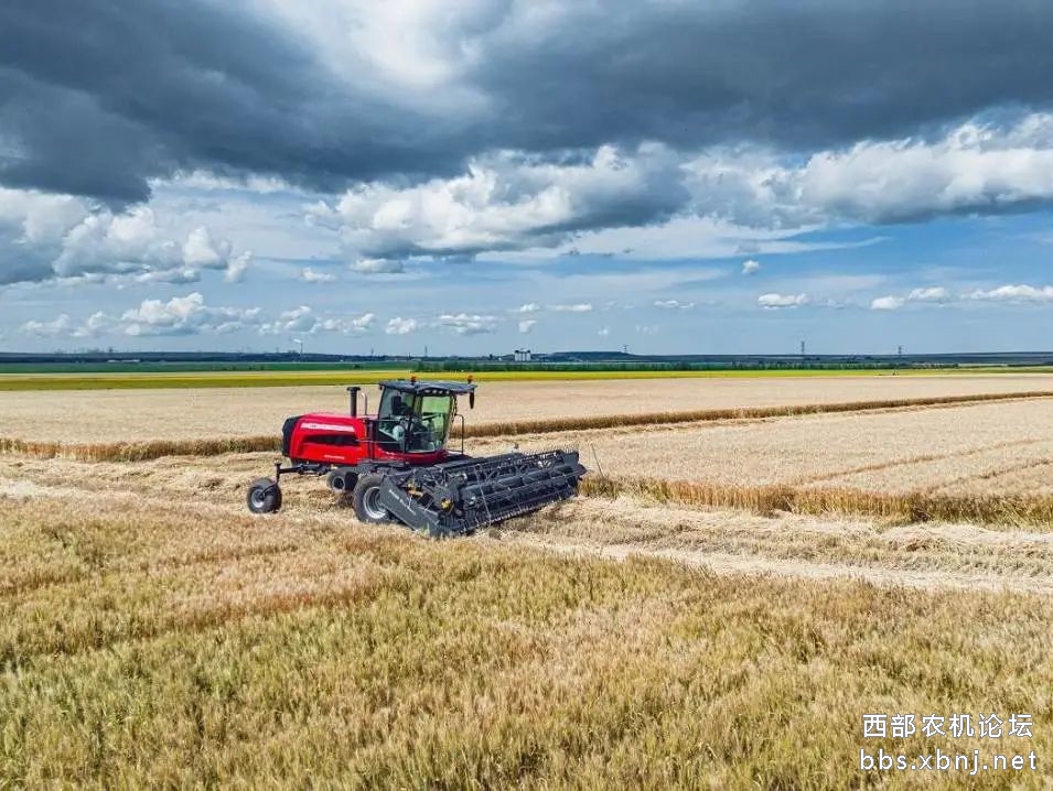 海拉尔麦收季：麦赛福格森新款自走式割草压